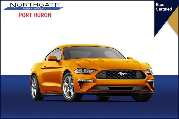 The Ford Blue Advantage